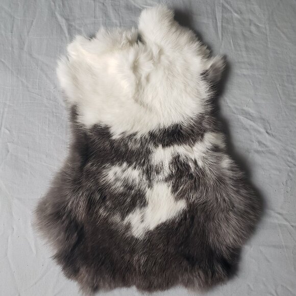 Other | Rabbit Pelt For Diy Or Display | Poshmark